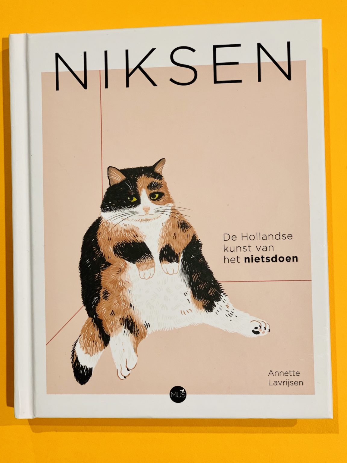 Niksen, de Hollandse kunst van het nietsdoen · Expo Enschede