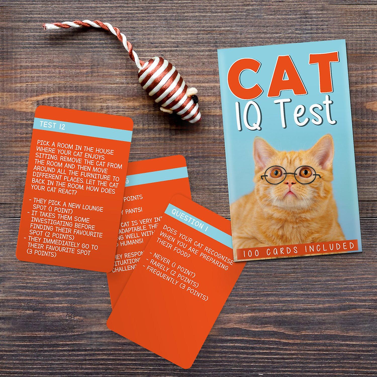 Cat IQ Test Expo Enschede Cat IQ Test Expo Enschede